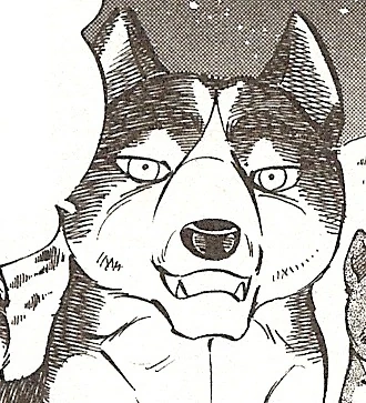 Shinsaku (GDW Anime) | Ginga Wiki | Fandom