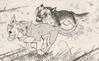 Lydia/Gallery | Ginga Wiki | Fandom