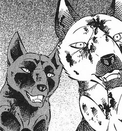 Nikov | Ginga Wiki | Fandom