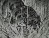 Nobutora/Gallery | Ginga Wiki | Fandom