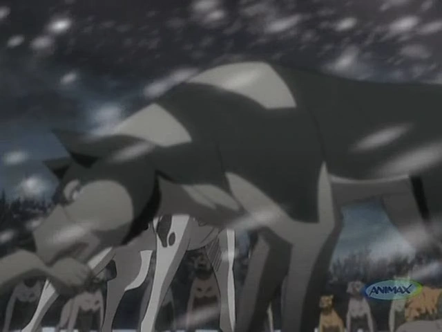 Hanji | Ginga Wiki | Fandom