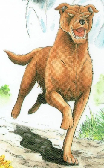 Category:Other Dog Breeds | Ginga Wiki | Fandom