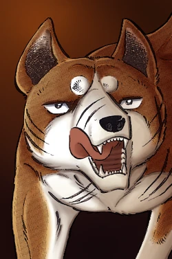 Рики | Ginga вики | Fandom