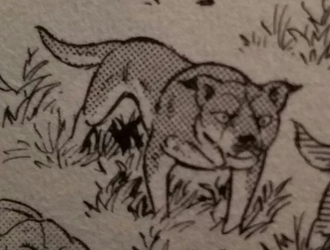 Koroku | Ginga Wiki | Fandom