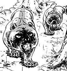 Bear Cubs | Ginga Wiki | Fandom