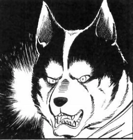 Дэнди Билл | Ginga вики | Fandom