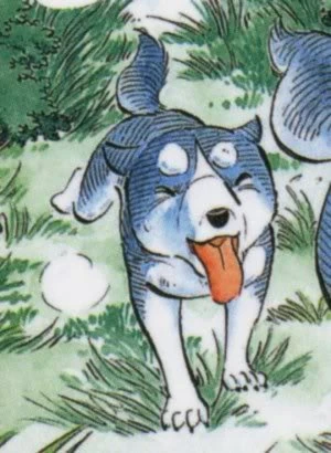 Joe/Gallery | Ginga Wiki | Fandom