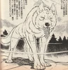 The White Wolf/Gallery | Ginga Wiki | Fandom