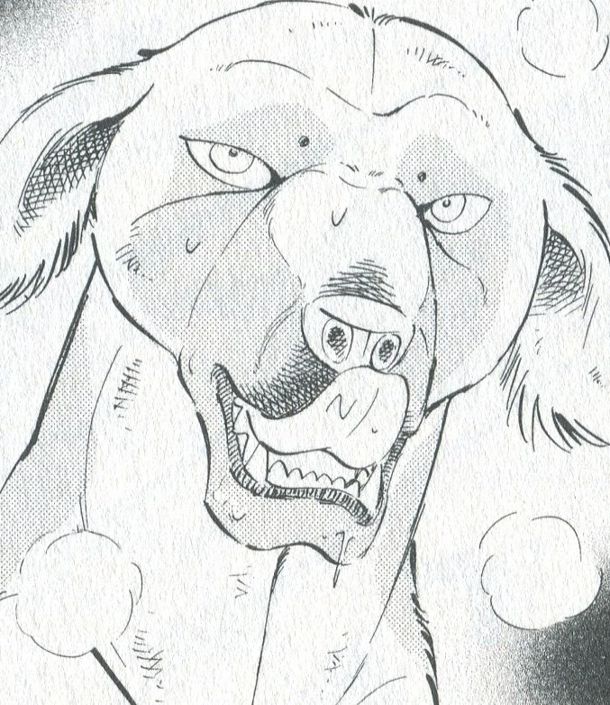 Shinkichi Hanajiro | Ginga Wiki | Fandom