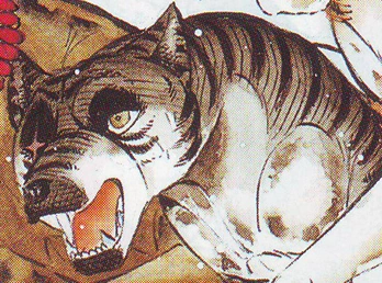 Kurotora | Ginga Wiki | Fandom