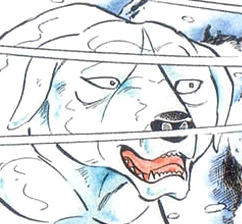 Robert | Ginga Wiki | Fandom