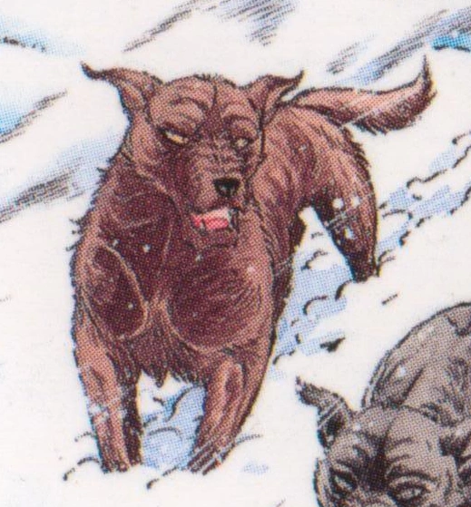 Akakamakiri/Gallery | Ginga Wiki | Fandom