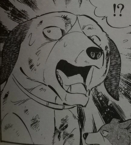 Shinsuke (GDW) | Ginga Wiki | Fandom