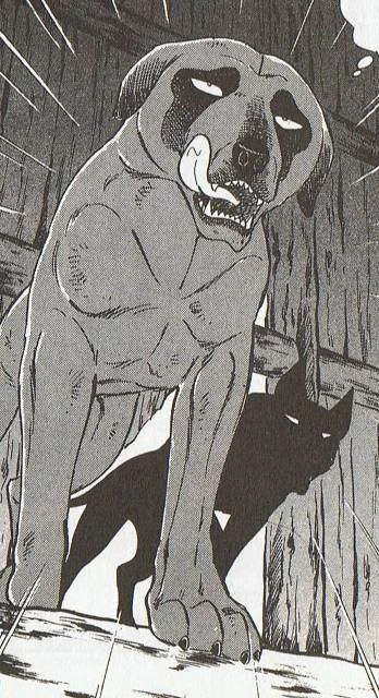 Lefty/Gallery | Ginga Wiki | Fandom