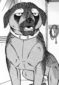 Benizakura | Ginga Wiki | Fandom