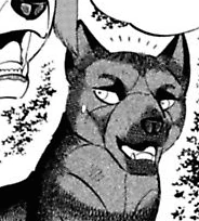 Eiji | Ginga Wiki | Fandom