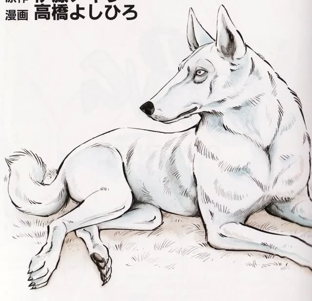 Askari/Gallery | Ginga Wiki | Fandom