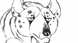 Bobcat | Ginga Wiki | Fandom