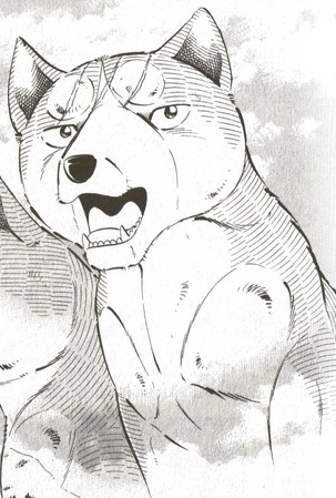 Gin | Ginga Wiki | Fandom