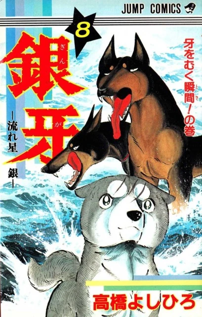 Volume 8 (GNG) | Ginga Wiki | Fandom