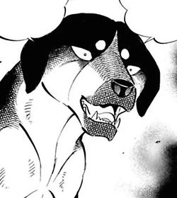 Shirō/Gallery | Ginga Wiki | Fandom