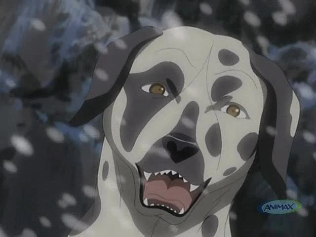 Category:Anime-Only Characters | Ginga Wiki | Fandom