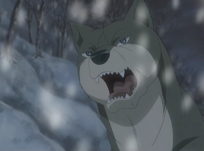 Shintarō (GDW Anime)/Gallery | Ginga Wiki | Fandom