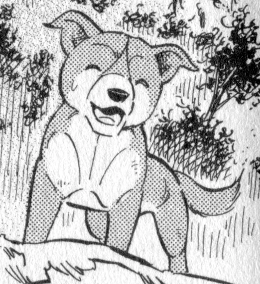 Jirō (GDWO) | Ginga Wiki | Fandom