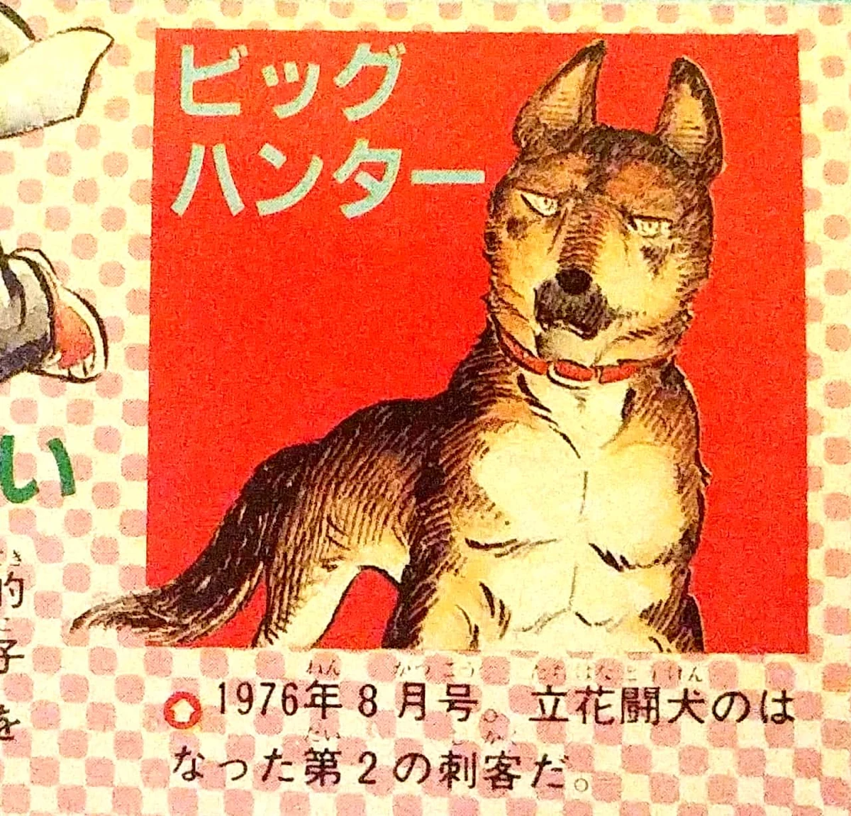 Big Hunter/Gallery | Ginga Wiki | Fandom