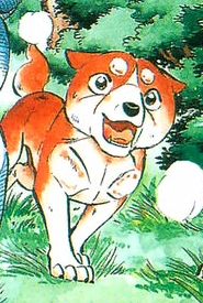 Yukimura/Gallery | Ginga Wiki | Fandom