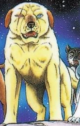Category:Photo Gallery: Great Pyrenees | Ginga Wiki | Fandom