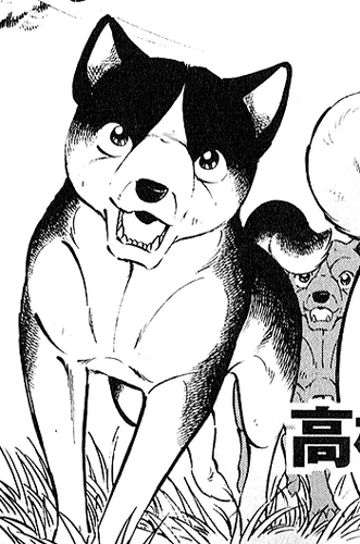 Tetsu | Ginga Wiki | Fandom