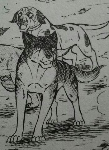 Nobutora | Ginga Wiki | Fandom