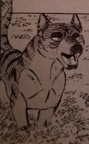 Akatora | Ginga Wiki | Fandom