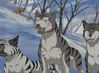 Nobutora/Gallery | Ginga Wiki | Fandom