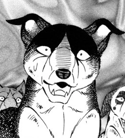 Shintarō | Ginga Wiki | Fandom