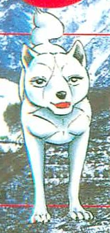 Sakura/Gallery | Ginga Wiki | Fandom