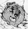Chūtora/Gallery | Ginga Wiki | Fandom