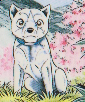 Kotetsu/Gallery | Ginga Wiki | Fandom
