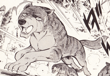 Akatora | Ginga Wiki | Fandom