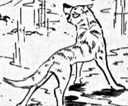 Bobcat/Gallery | Ginga Wiki | Fandom