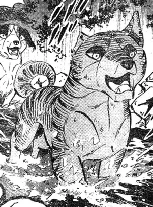 Chūtora | Ginga Wiki | Fandom