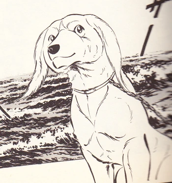 Cross | Ginga Wiki | Fandom