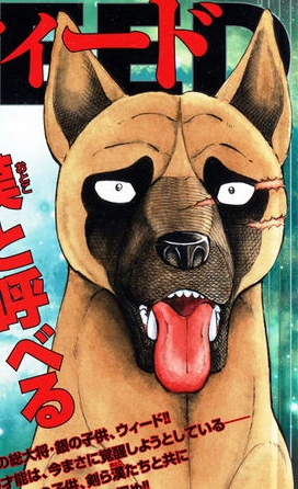 Ken | Ginga Wiki | Fandom