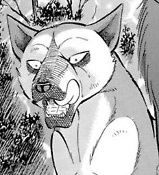 Minoru/Gallery | Ginga Wiki | Fandom