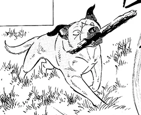 Shūto/Gallery | Ginga Wiki | Fandom