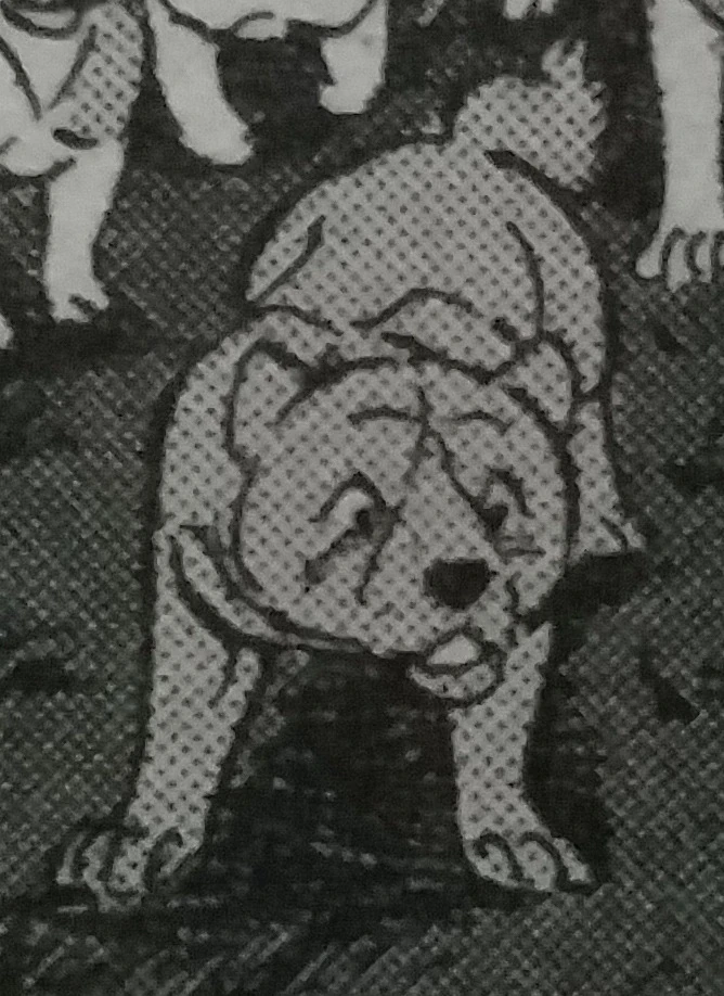 Fuyuto | Ginga Wiki | Fandom