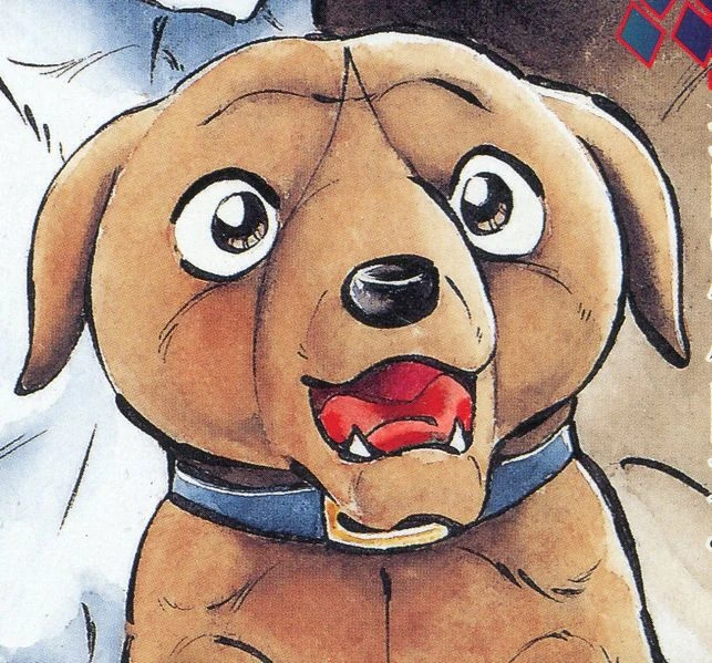 Musashi (Puppy) | Ginga Wiki | Fandom