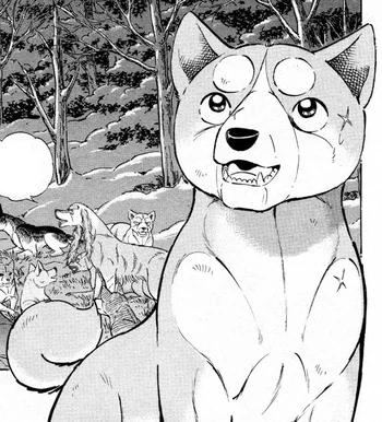 Orion | Ginga Wiki | Fandom
