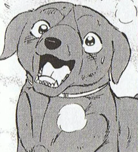 Chuck | Ginga Wiki | Fandom